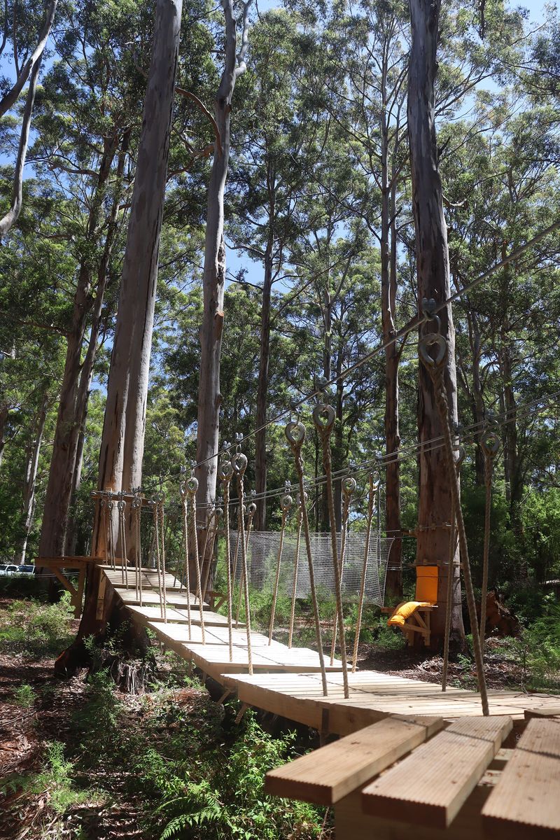 Pemberton Aerial Adventure