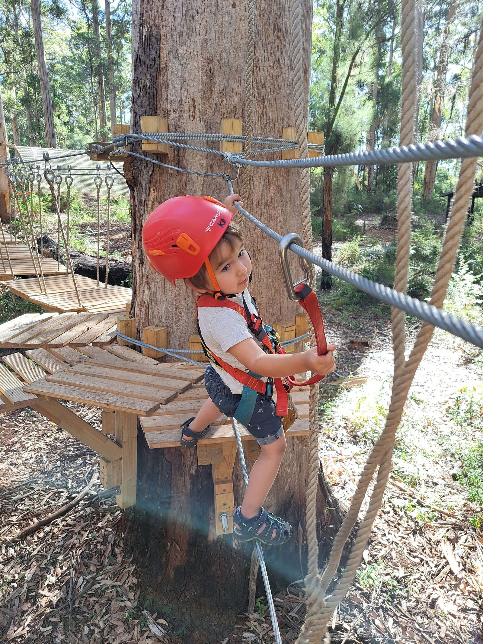 Pemberton Aerial Adventure