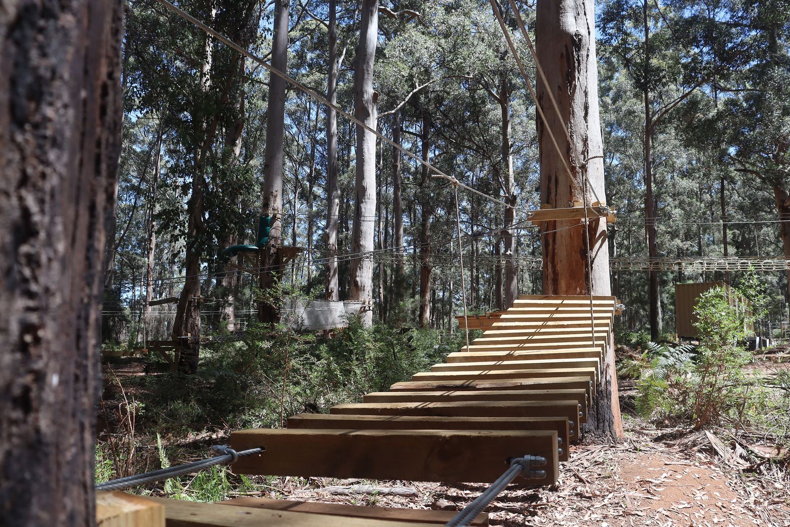 Pemberton Aerial Adventure