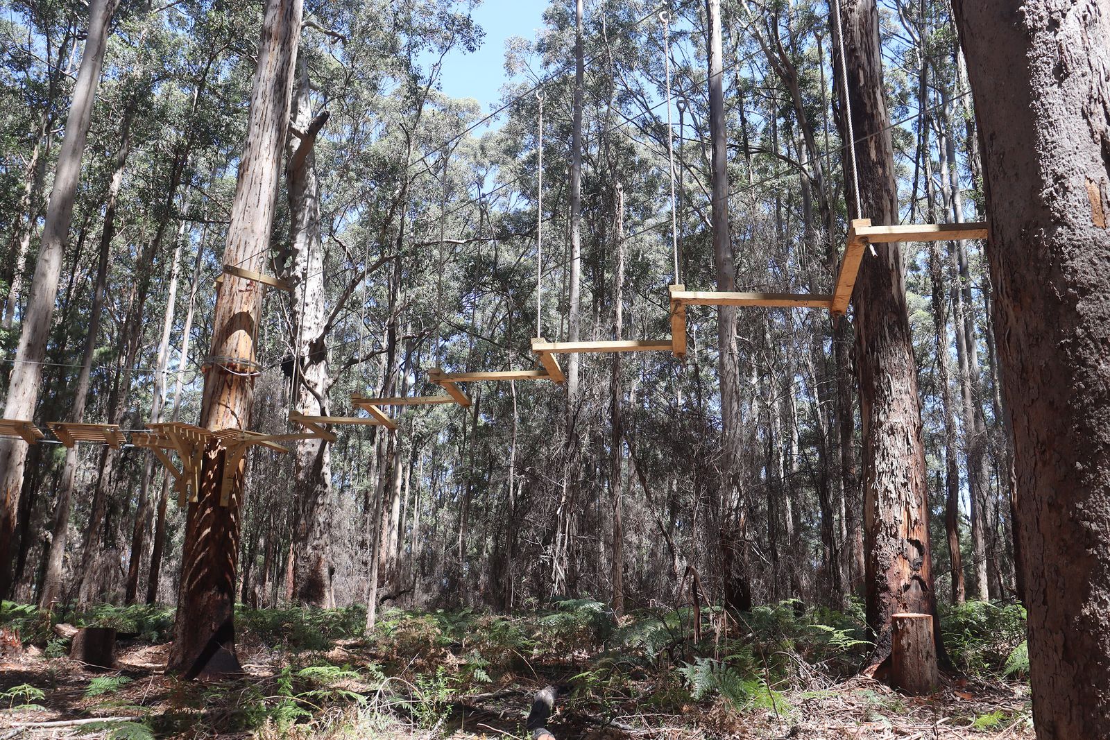 Pemberton Aerial Adventure