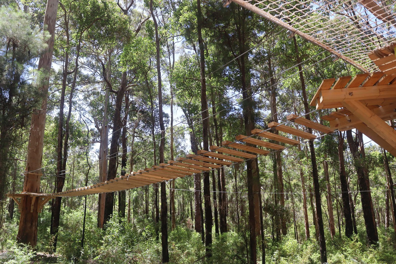 Pemberton Aerial Adventure