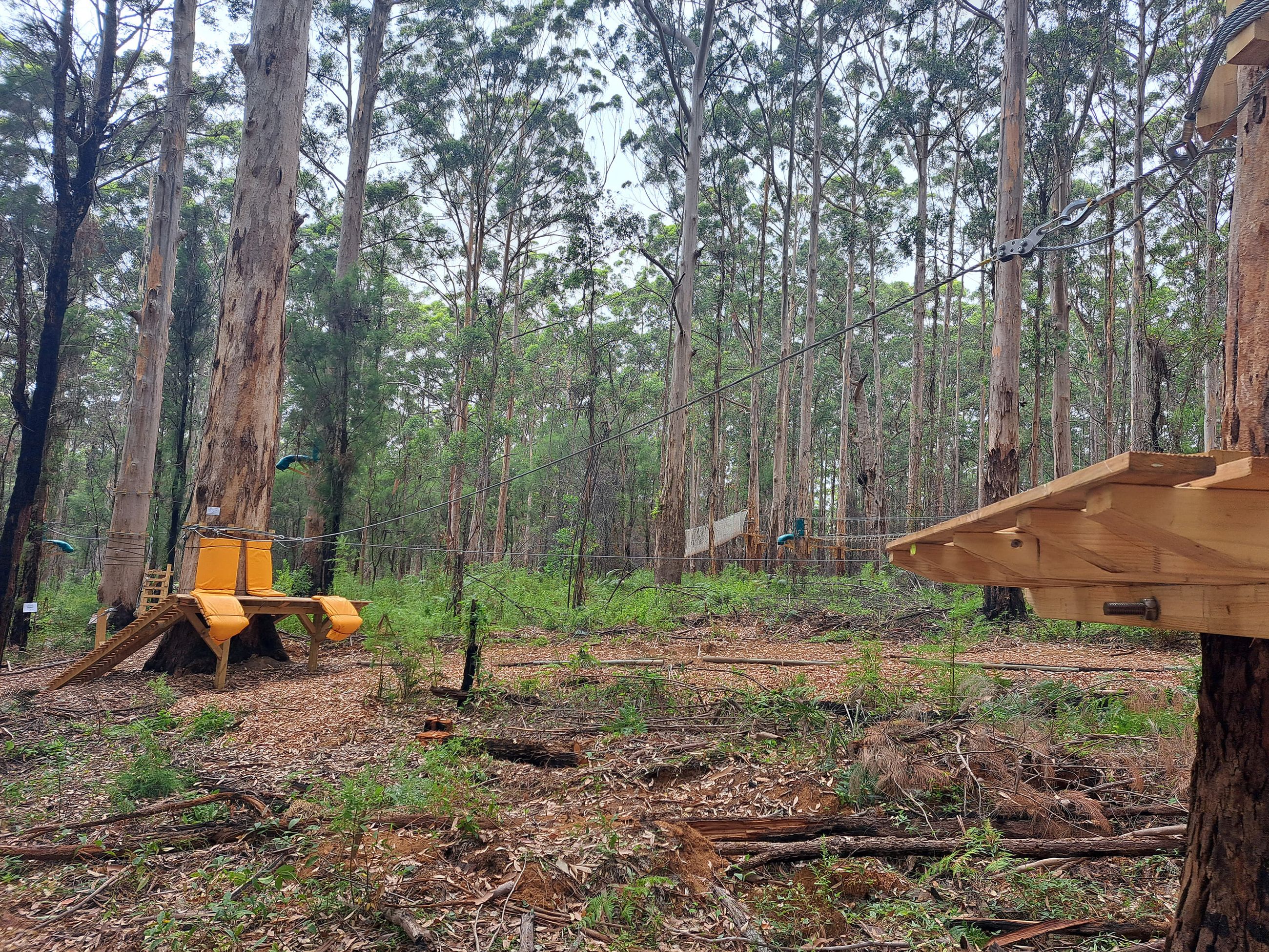 Pemberton Aerial Adventure