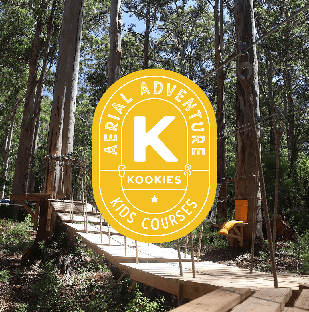 Pemberton Aerial Adventure