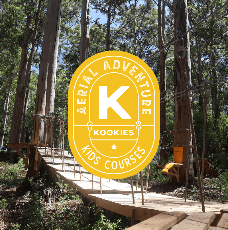 Pemberton Aerial Adventure