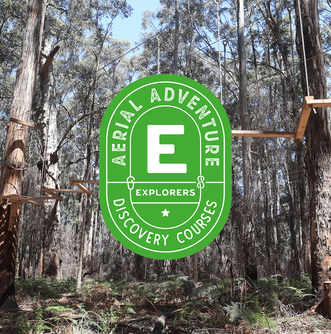 Pemberton Aerial Adventure