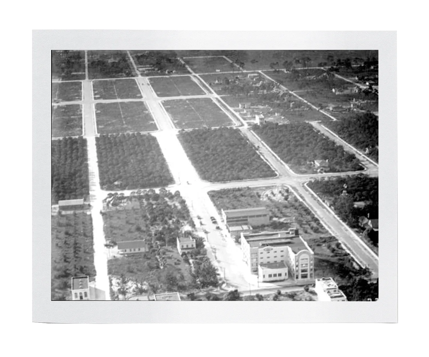 The History of The Moore