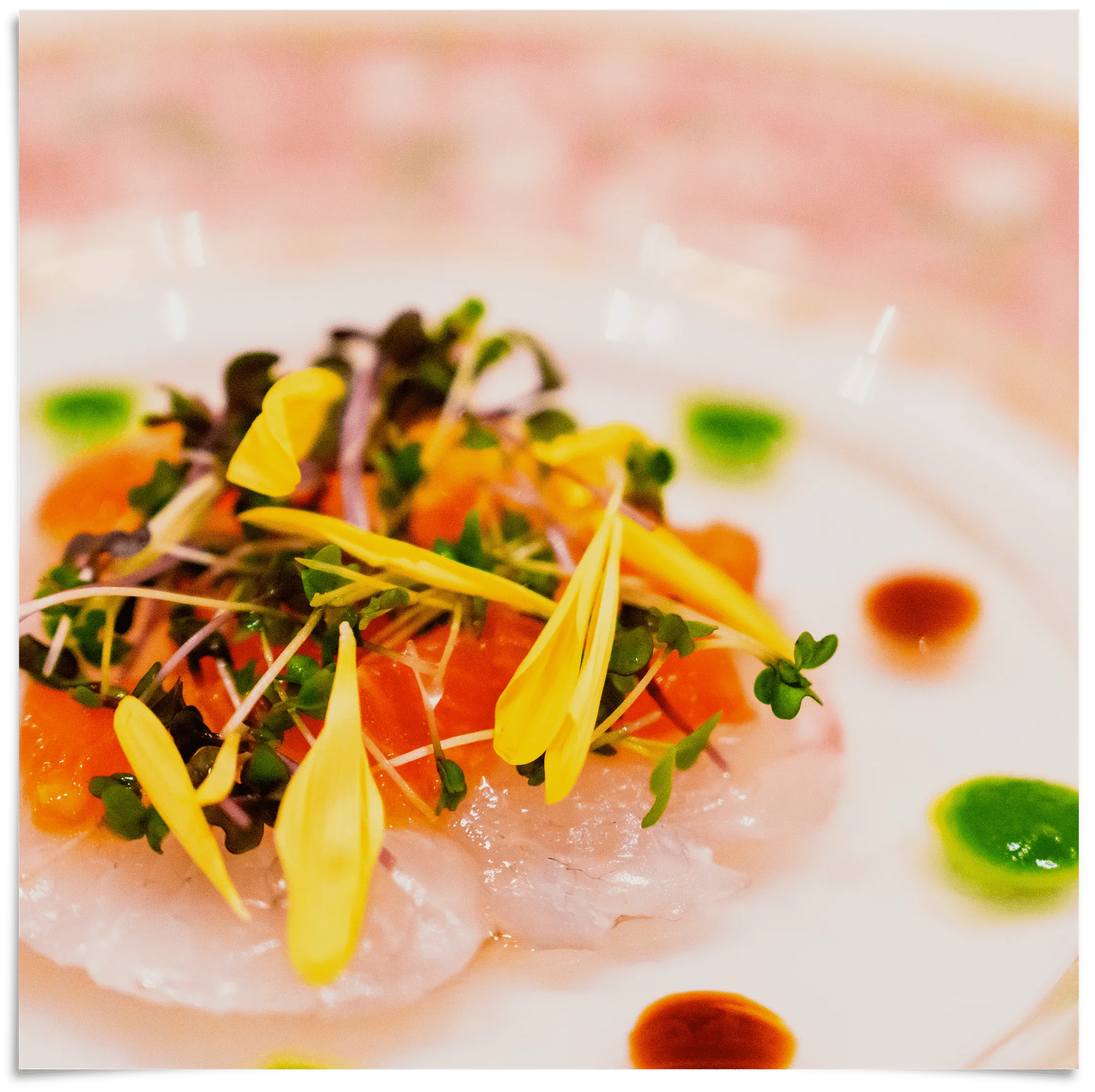 The Moore Miami | A Century of Elegance in the Design District