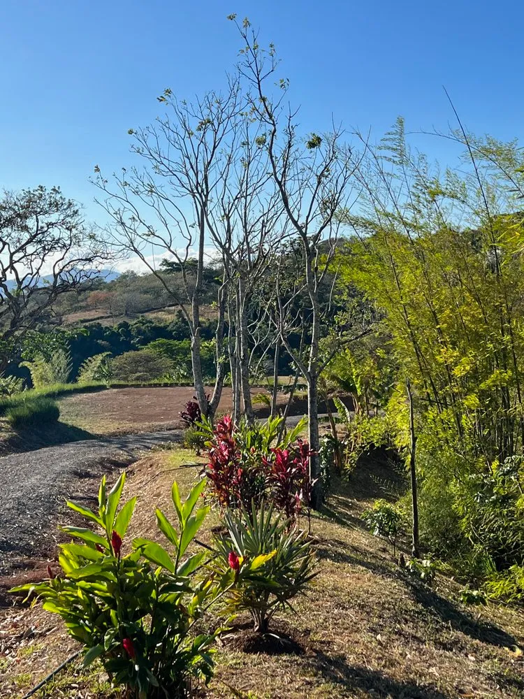 Zen Way Foundation - Home