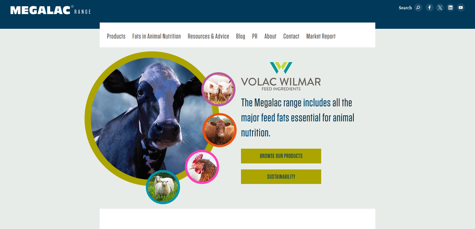 Megalac Landing Page Case Study | UX & Conversion Insights
