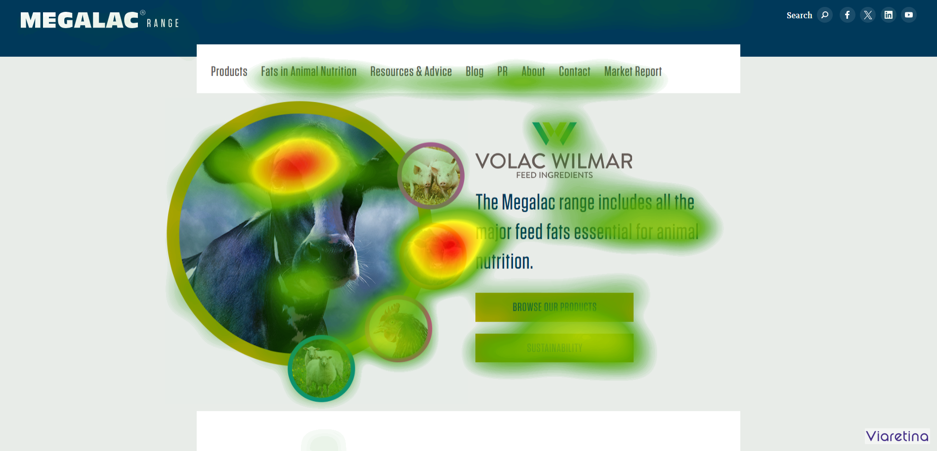 Megalac Landing Page Case Study | UX & Conversion Insights
