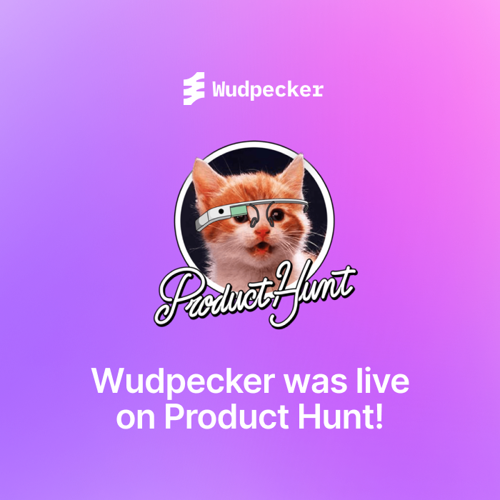 Product Hunt launch: What did Wudpecker learn?