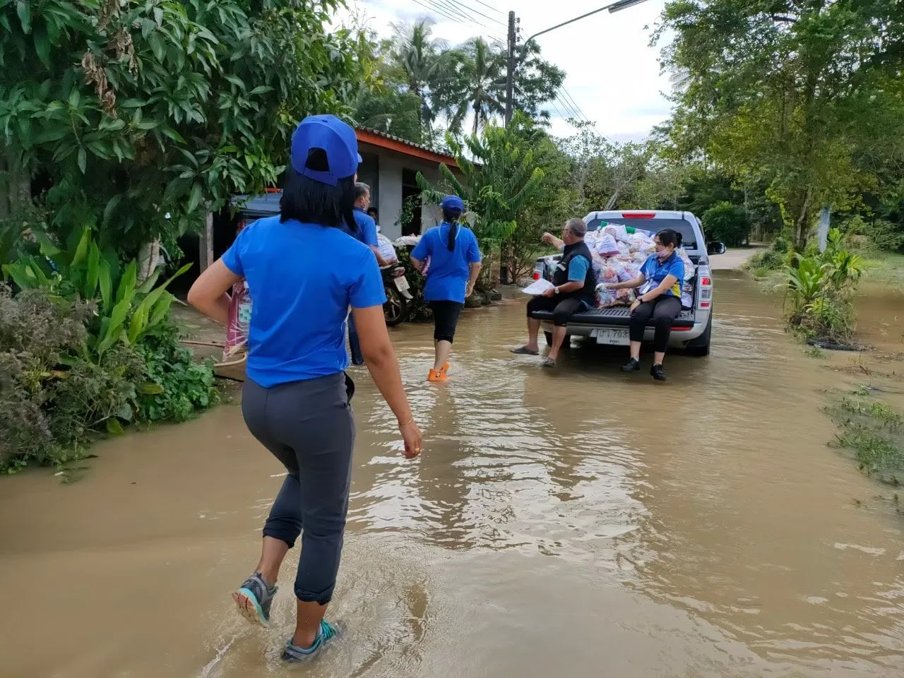 Trusted Latex Concentrate since 2001 | TAT WIN