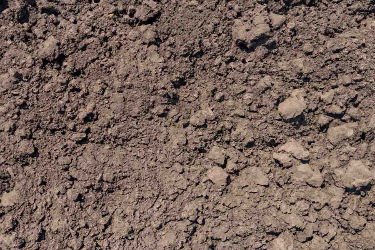 How to Test Soil Compaction - Gemplers