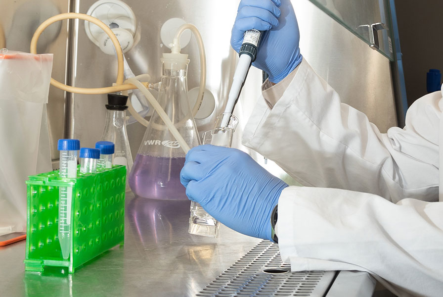 Biohubx | Calgary Facility | What is HUB 1?