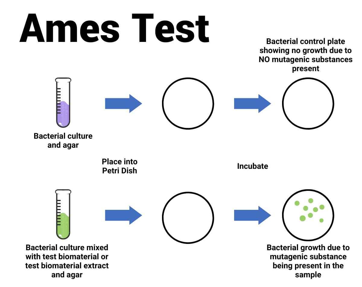 Biohubx | Biomaterial Genotoxicity Assessment