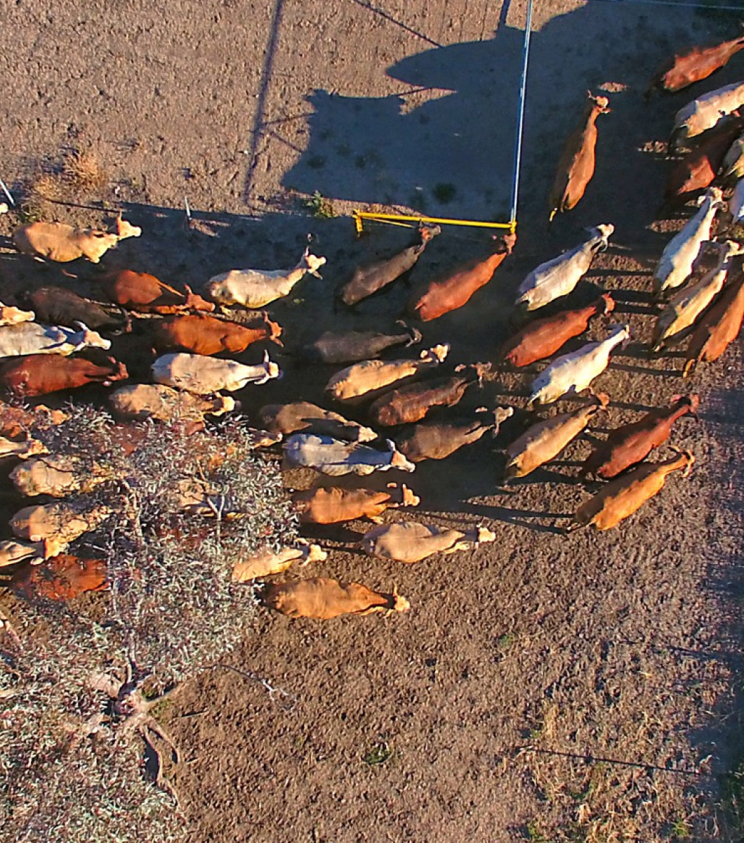 Devlins Bridge Wind Farm