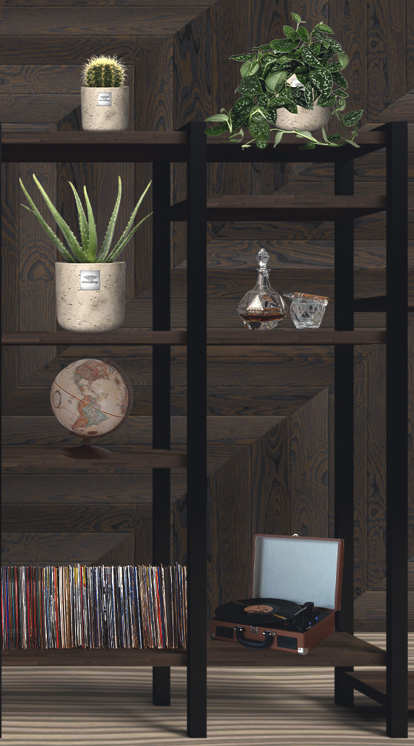 Männerpflanzen Sortiment