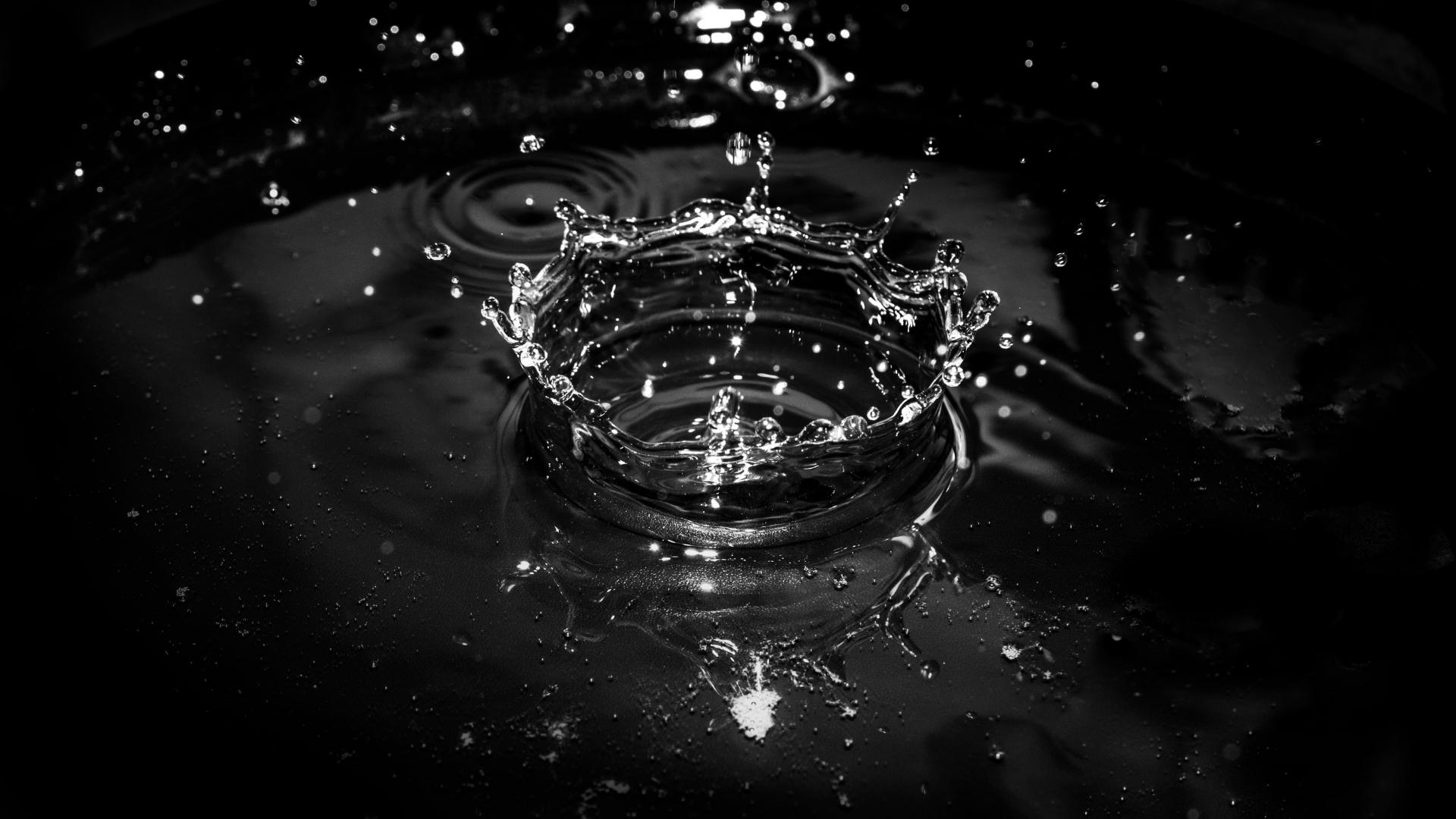 Bohdanna Kesala & The Art of Disruption | Singularity