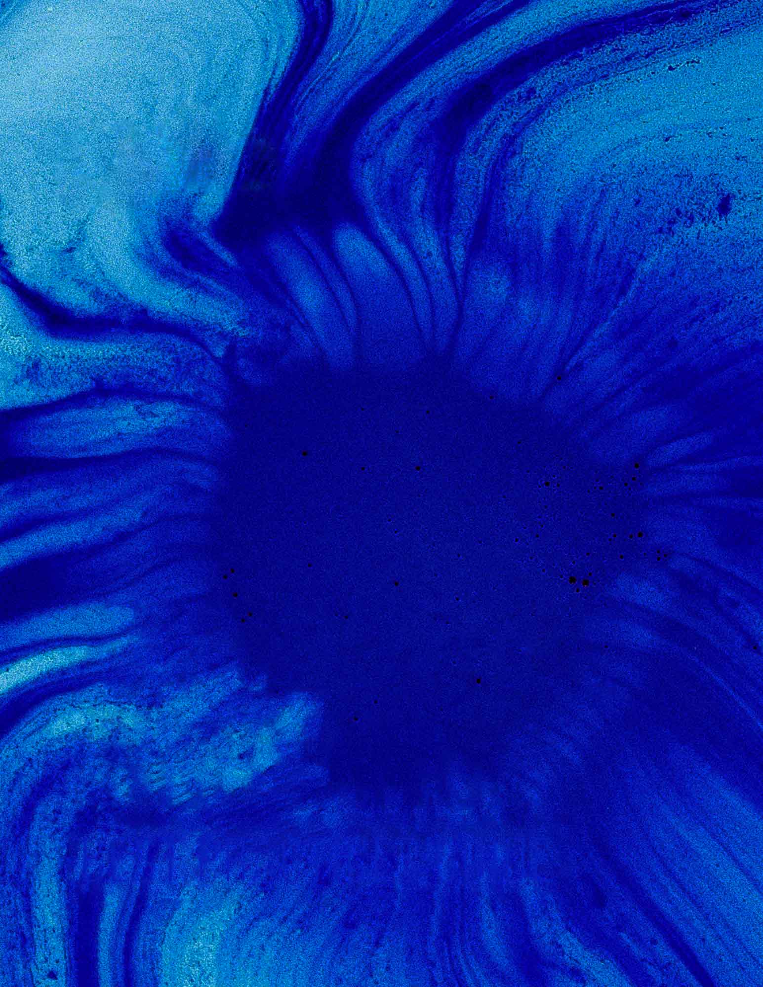 Singularity Insights & Resources | Empower Your Organization with ...