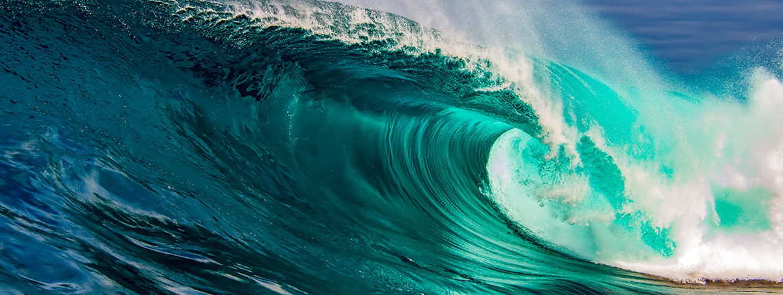 Riding the Wave of Change & Leadership | Singularity