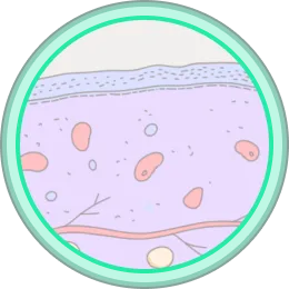 chiron | Paving the way to the future of on-chip biotechnologies