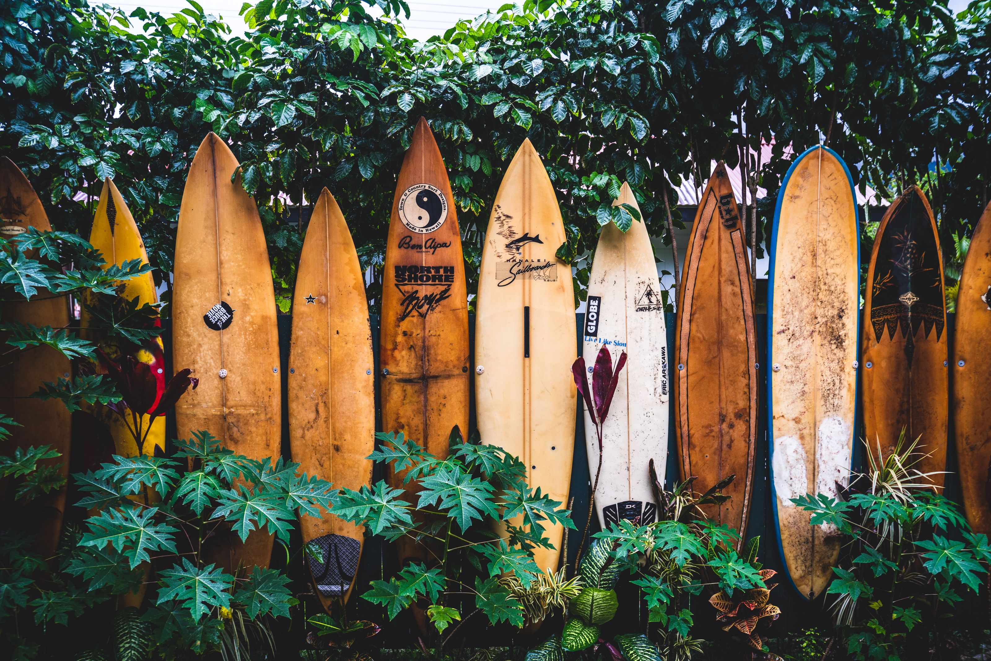 Explore Hawaii's State Parks: Discover Paradise in the Pacific