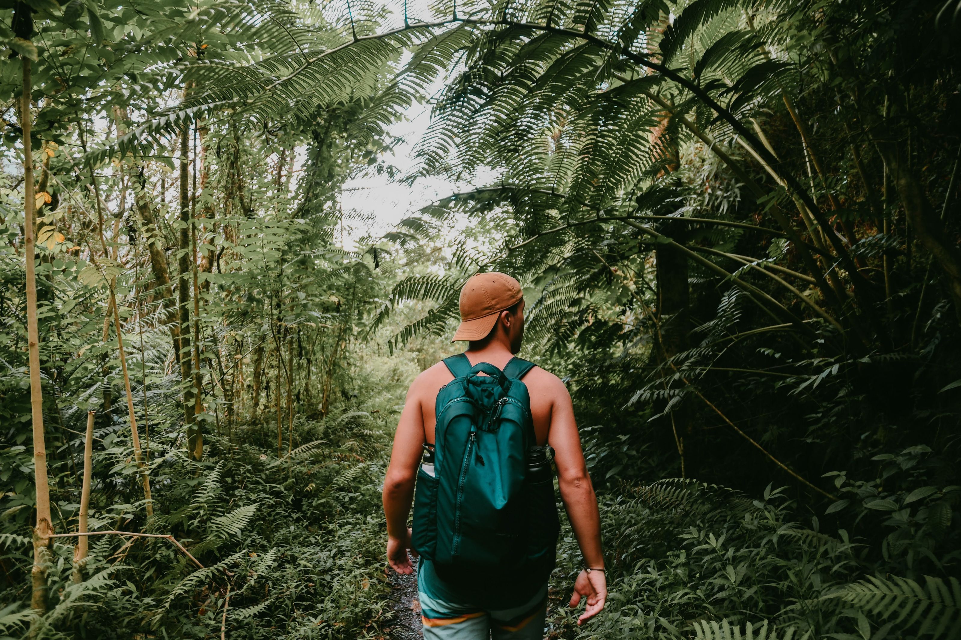 Explore Hawaii's State Parks: Discover Paradise in the Pacific