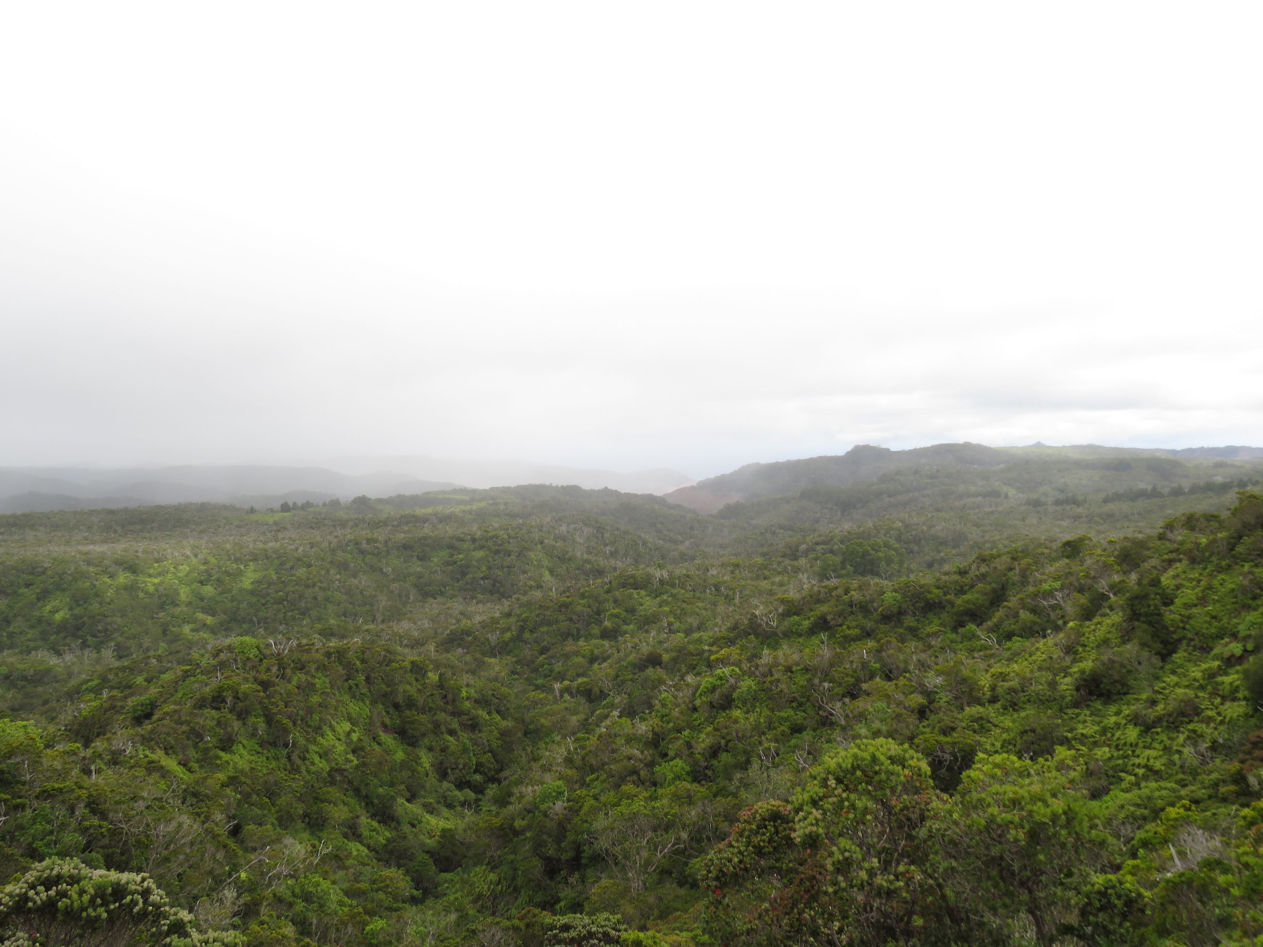 Explore Hawaii's State Parks: Discover Paradise in the Pacific