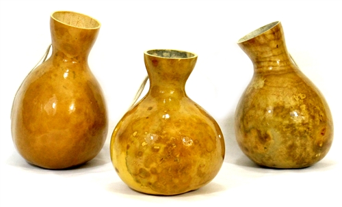 A Guide to Hawaiian Music and Dance