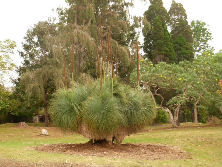 Manuka State Wayside - Hawai'i | Hawai'i State Parks