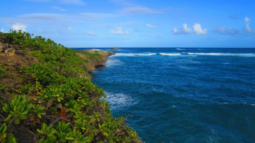Laʻie Point State Wayside - Oahu | Hawai'i State Parks