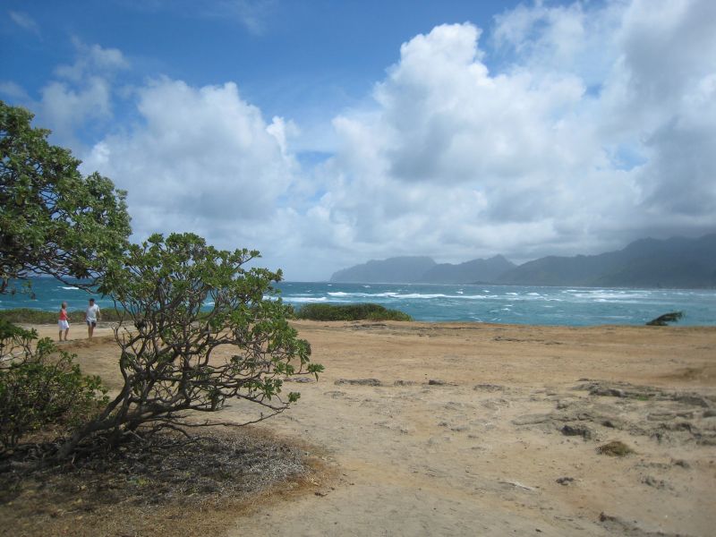 Laʻie Point State Wayside - Oahu | Hawai'i State Parks