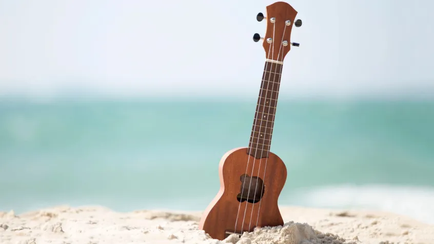 A Guide to Hawaiian Music and Dance