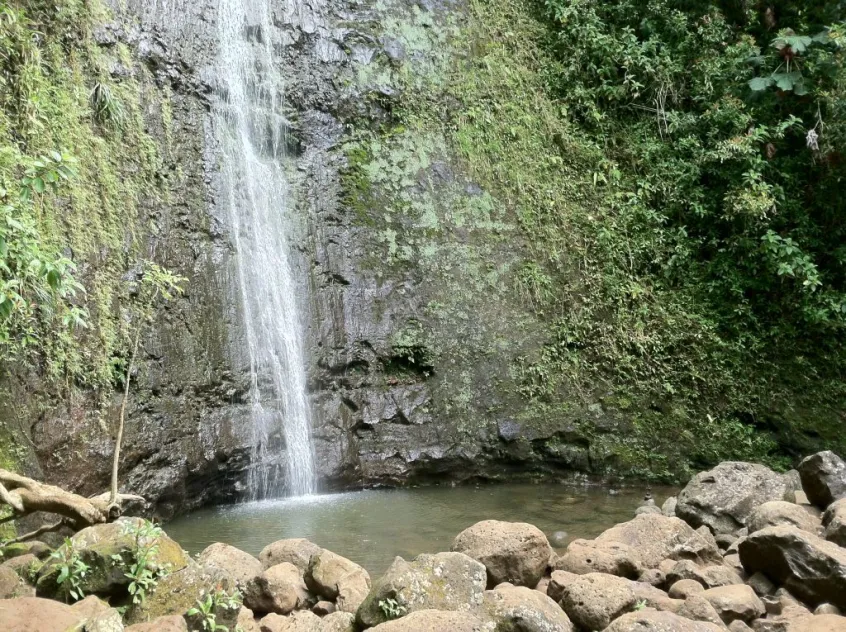 Manoa Falls
