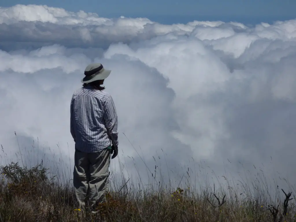 Polipoli Spring State Recreation Area - Maui | Hawai'i State Parks