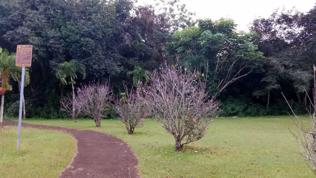 Keaiwa Heiau State Recreation Area - Oahu | Hawai'i State Parks