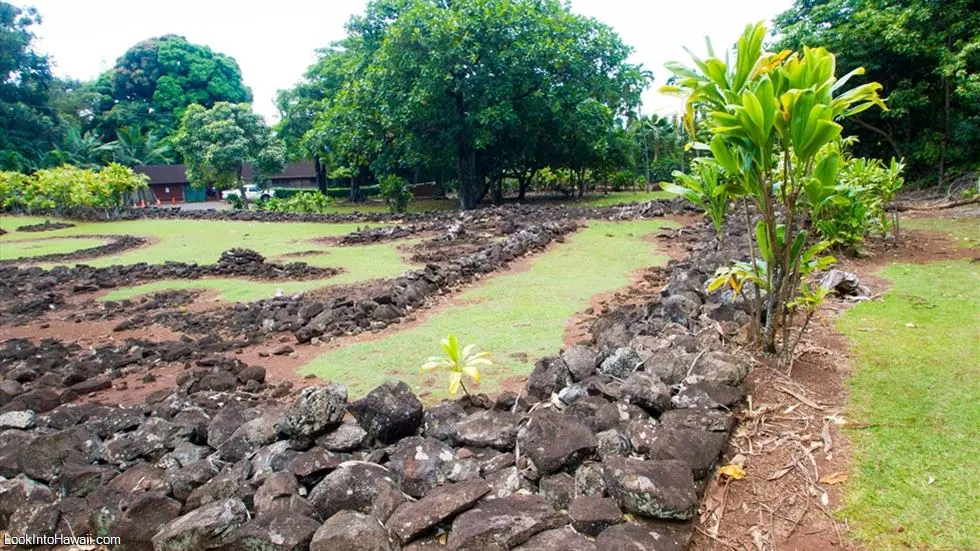 Keaiwa Heiau State Recreation Area - Oahu | Hawai'i State Parks