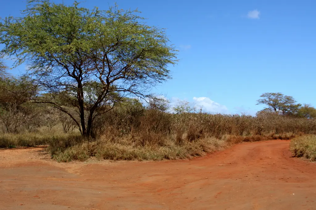 Russian Fort Elizabeth State Historical Park - Kauai | Hawai'i State Parks