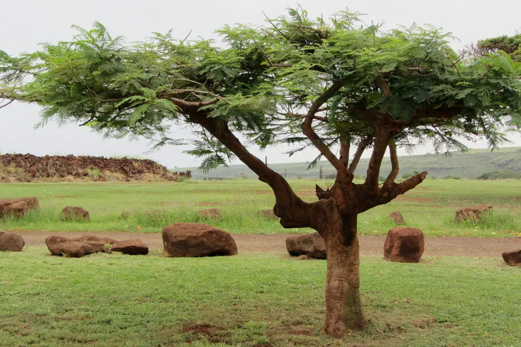 Russian Fort Elizabeth State Historical Park - Kauai | Hawai'i State Parks