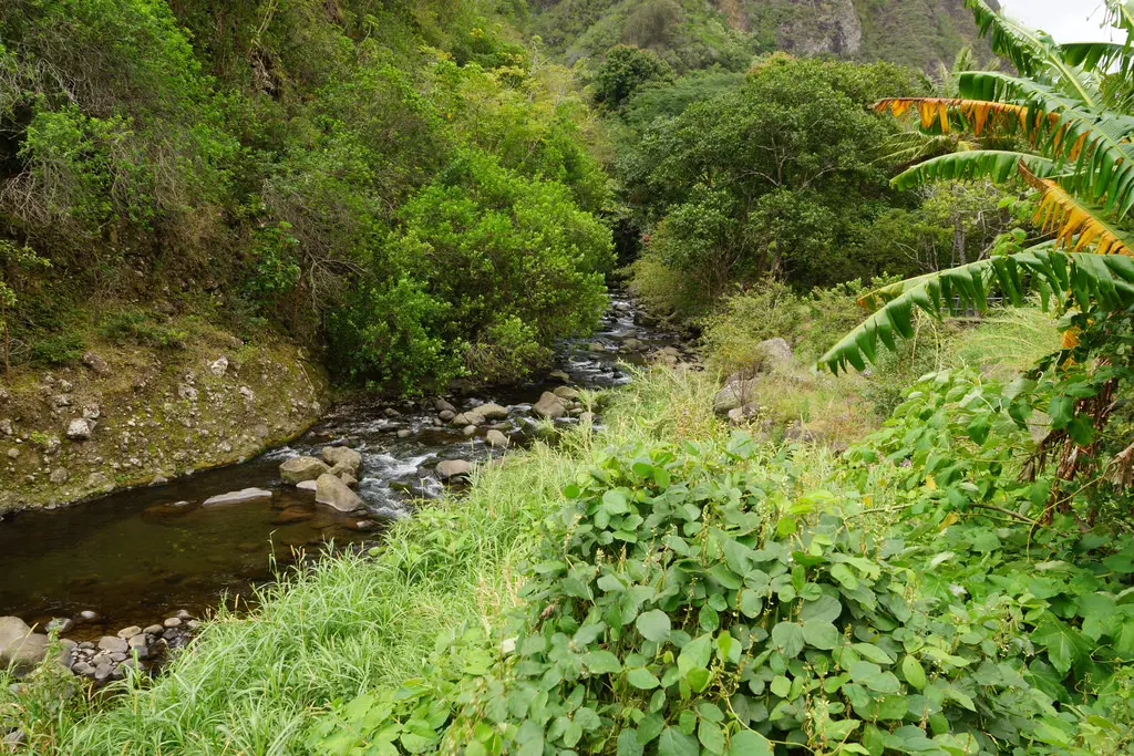 Iao Valley State Monument - Maui | Hawai'i State Parks