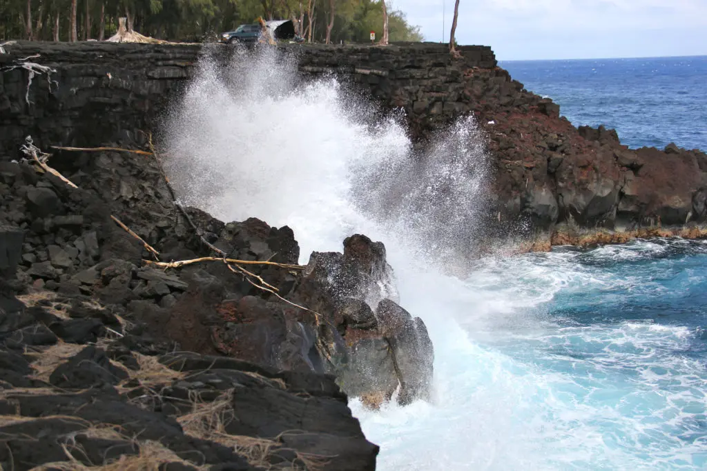 Kalopa State Recreation Area - Hawai'i | Hawai'i State Parks
