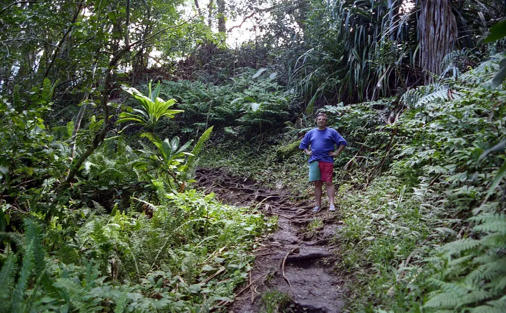 Kaumahina State Wayside - Maui | Hawai'i State Parks