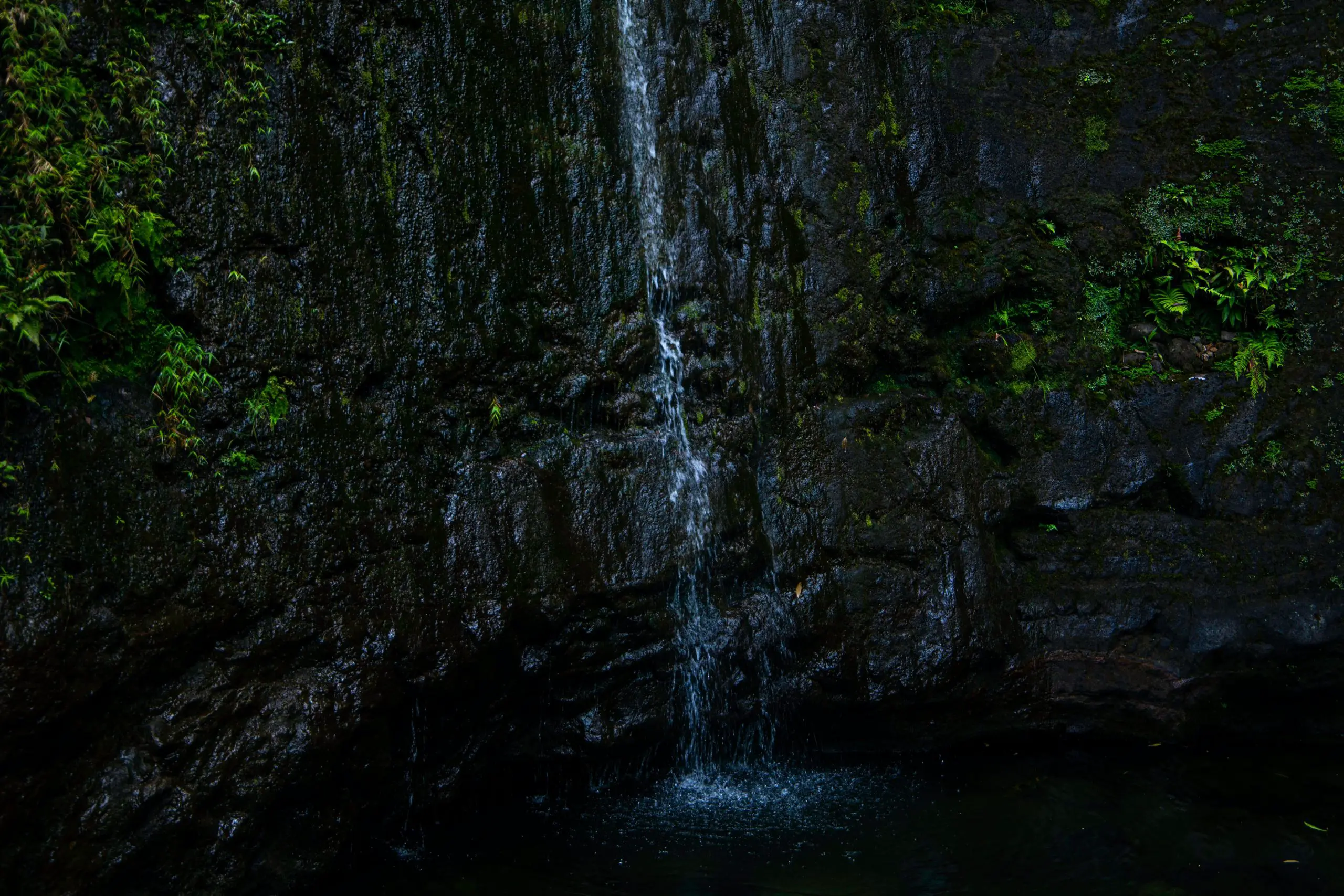 The Best Waterfall Hikes on Oahu