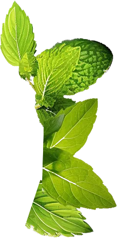 JustMyx | Cocktail Drops