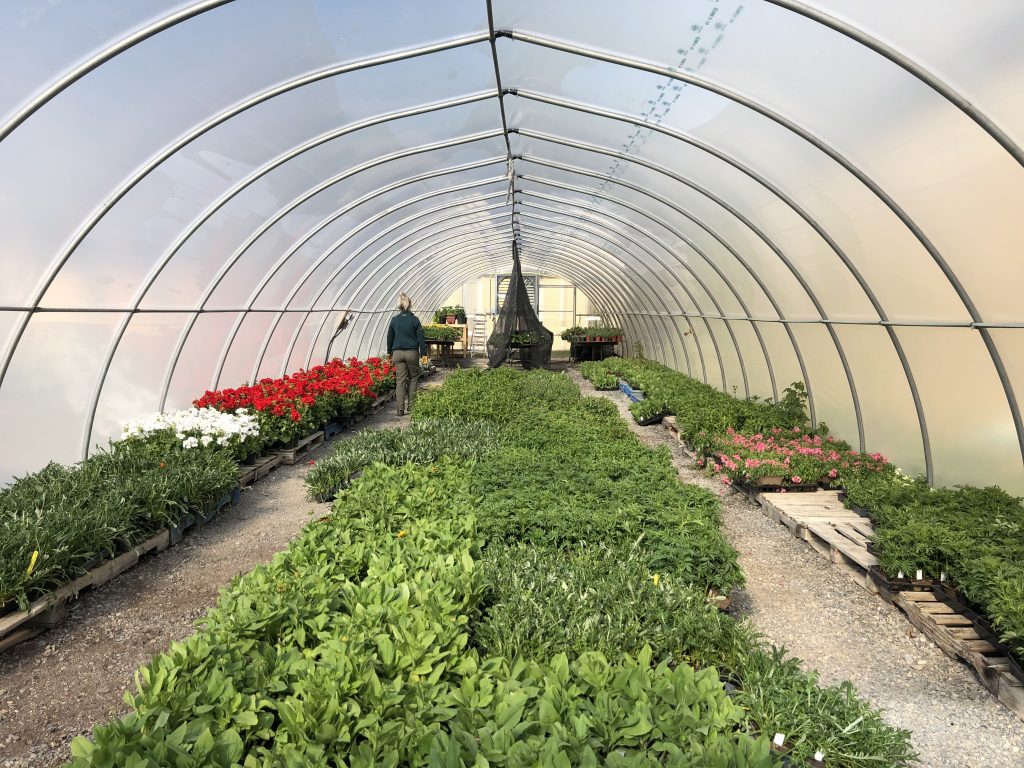 Cascade Gardens: Insider Tips for the Best Experience (2024) - Rocky Tales