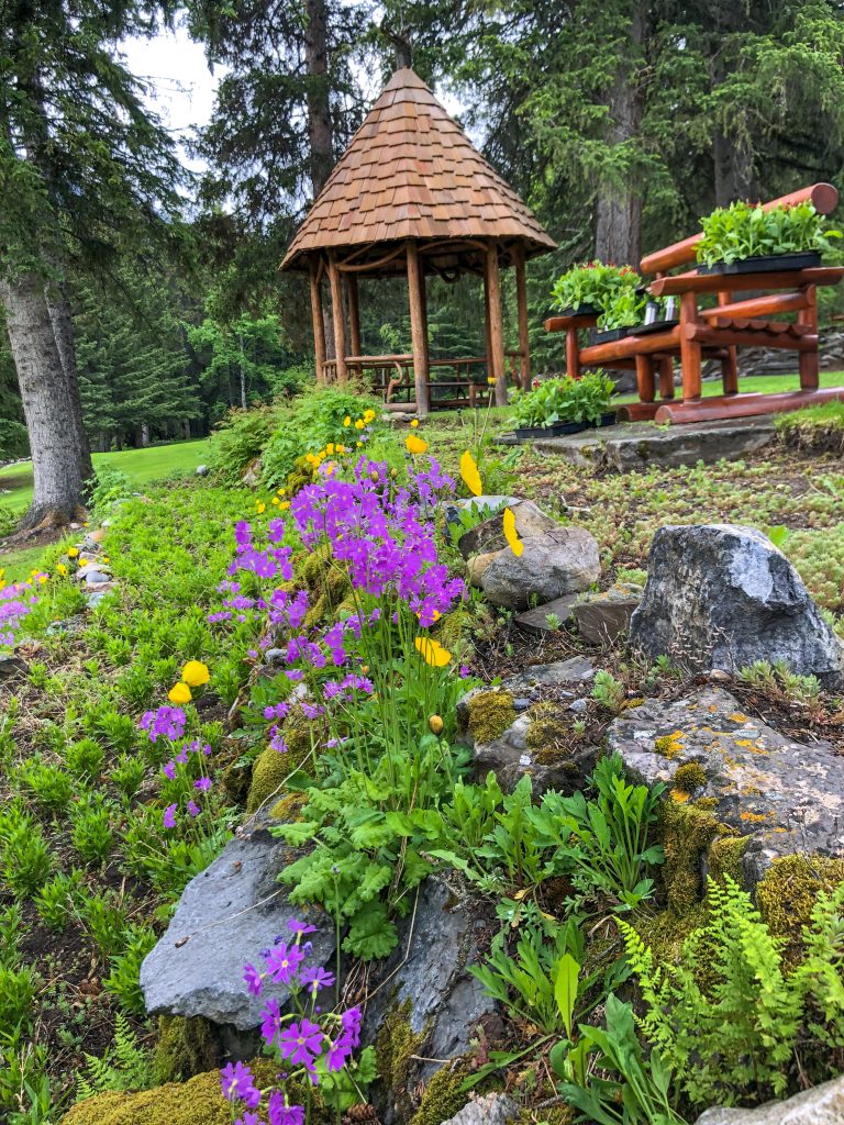 Cascade Gardens: Insider Tips for the Best Experience (2024) - Rocky Tales