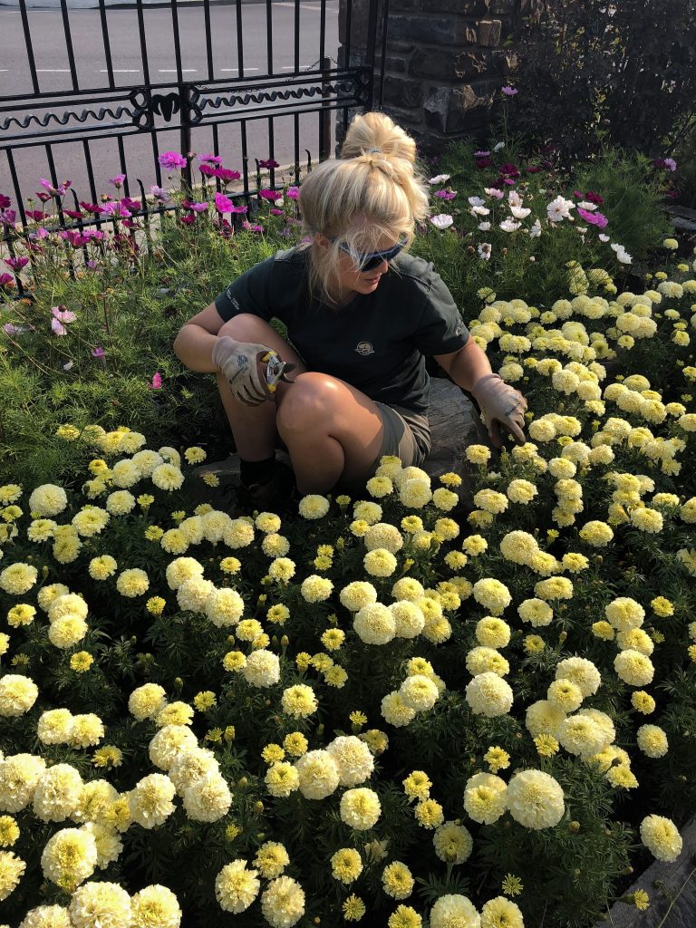 Cascade Gardens: Insider Tips for the Best Experience (2024) - Rocky Tales