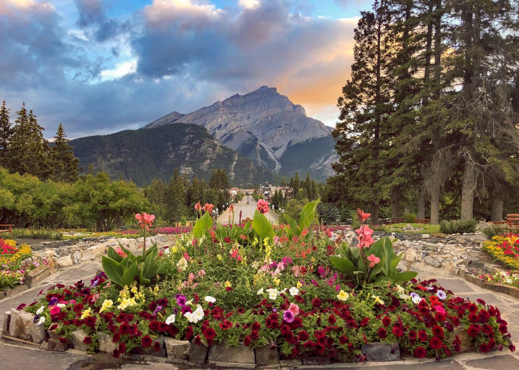 Cascade Gardens: Insider Tips for the Best Experience (2024) - Rocky Tales