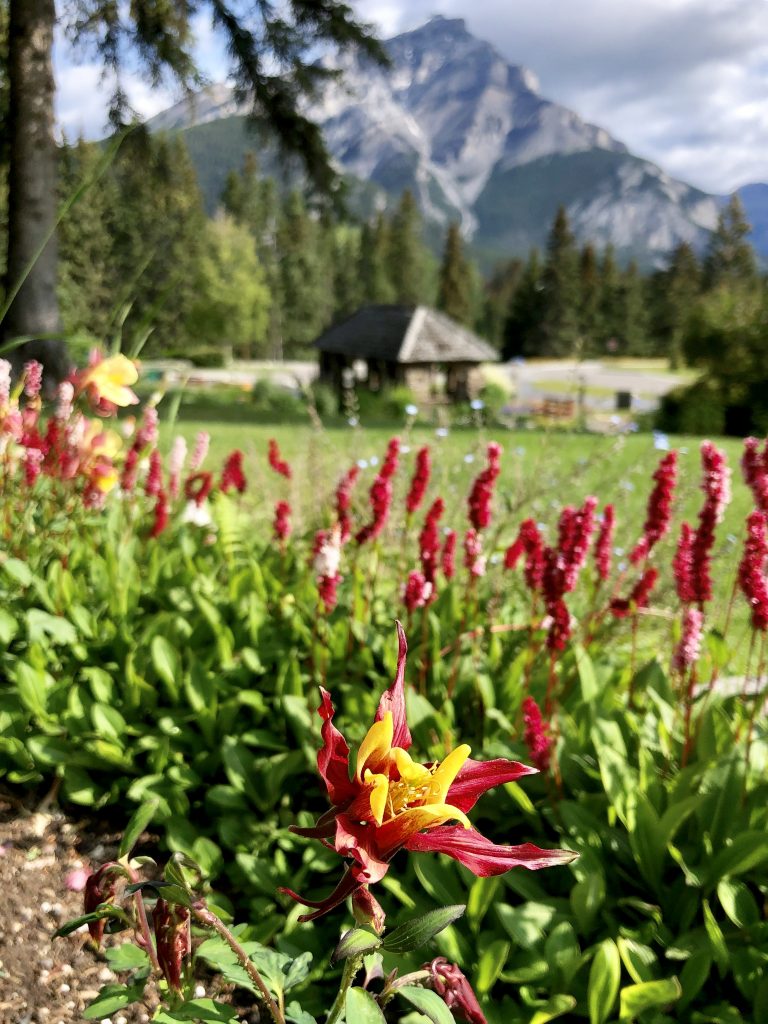 Cascade Gardens: Insider Tips for the Best Experience (2024) - Rocky Tales