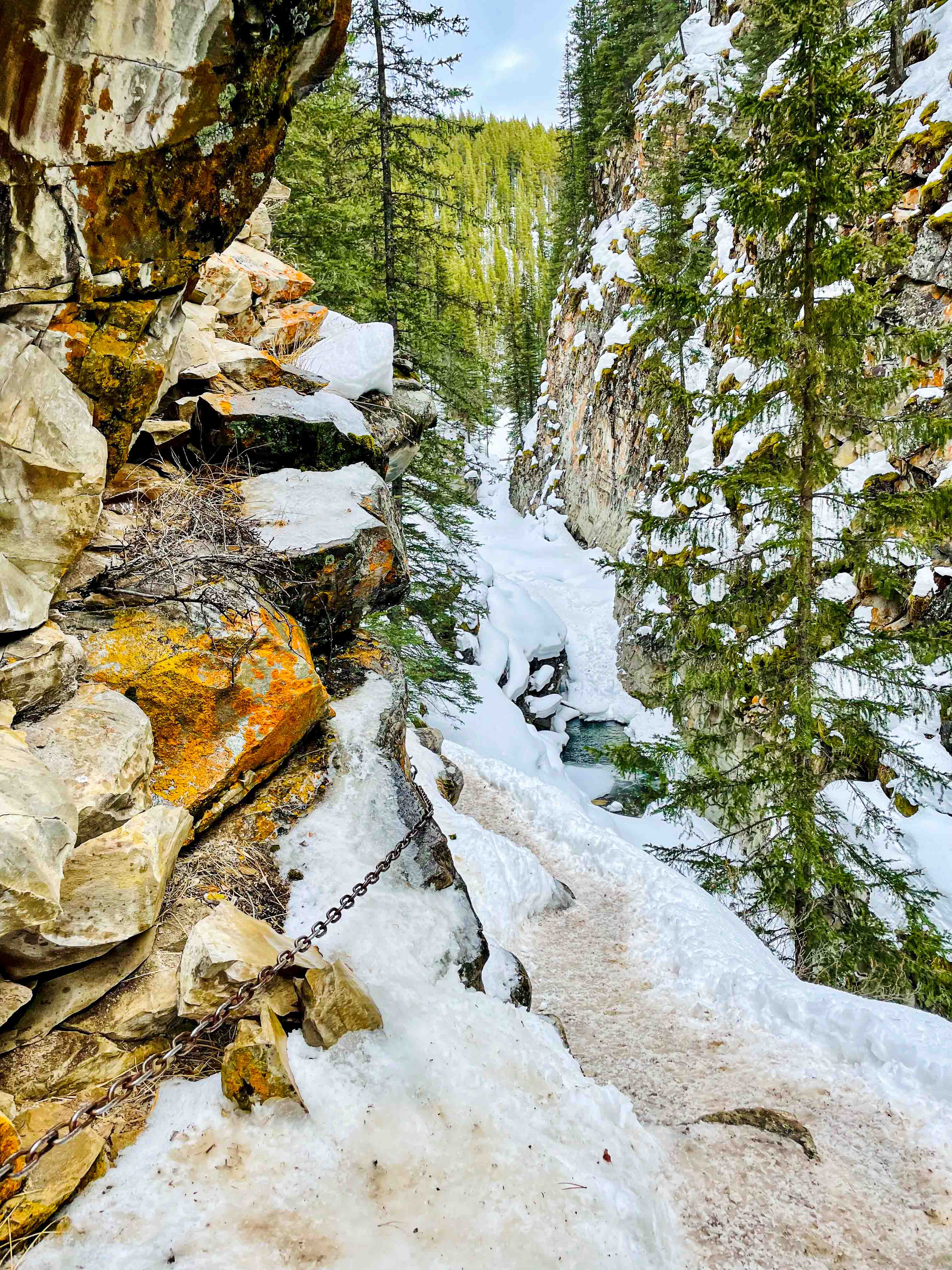 The Ultimate Guide to The Green Monster Waterfall Hike - Rocky Tales